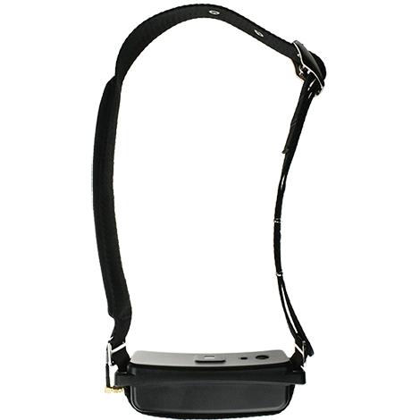 LoRaWAN GPS Cattle Collar – LPWAN SPACE